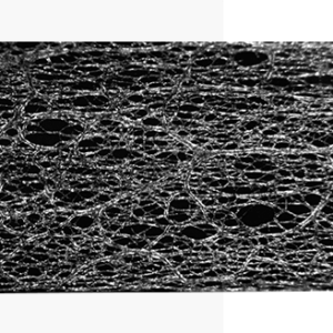 EnCompass F2 - Advancing embolic protection during cardiac procedures.